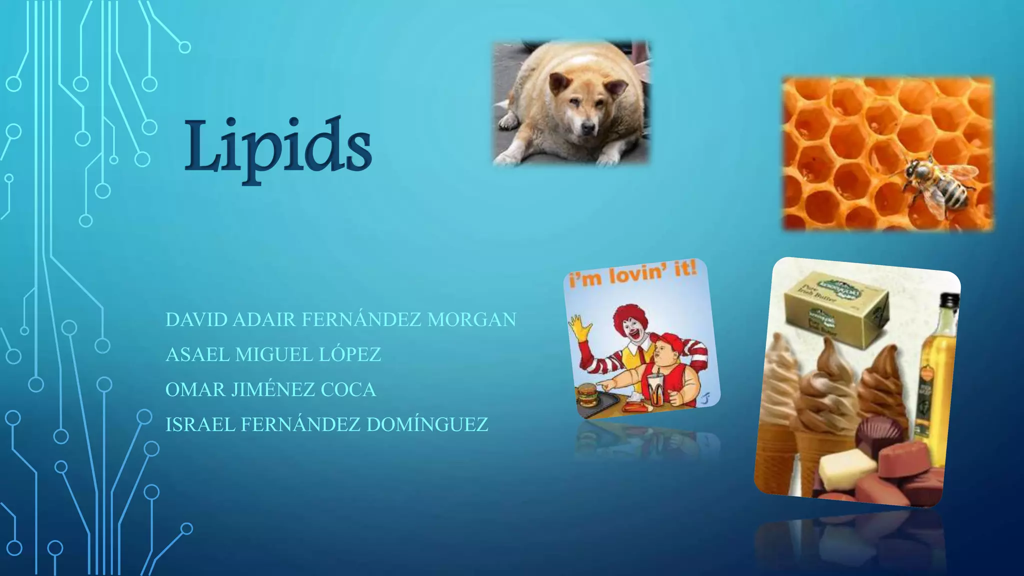 Lipids | PPT