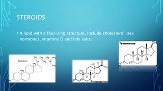 Lipids | PPTX