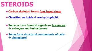 Lipids | PPTX | Chemistry | Science