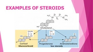 Lipids | PPTX | Chemistry | Science
