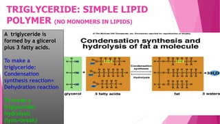 Lipids | PPT