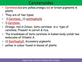 Lipids | PPTX | Chemistry | Science