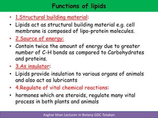 Lipids | PPTX | Chemistry | Science