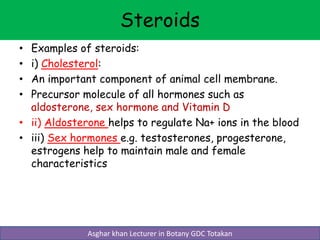 Lipids | PPTX