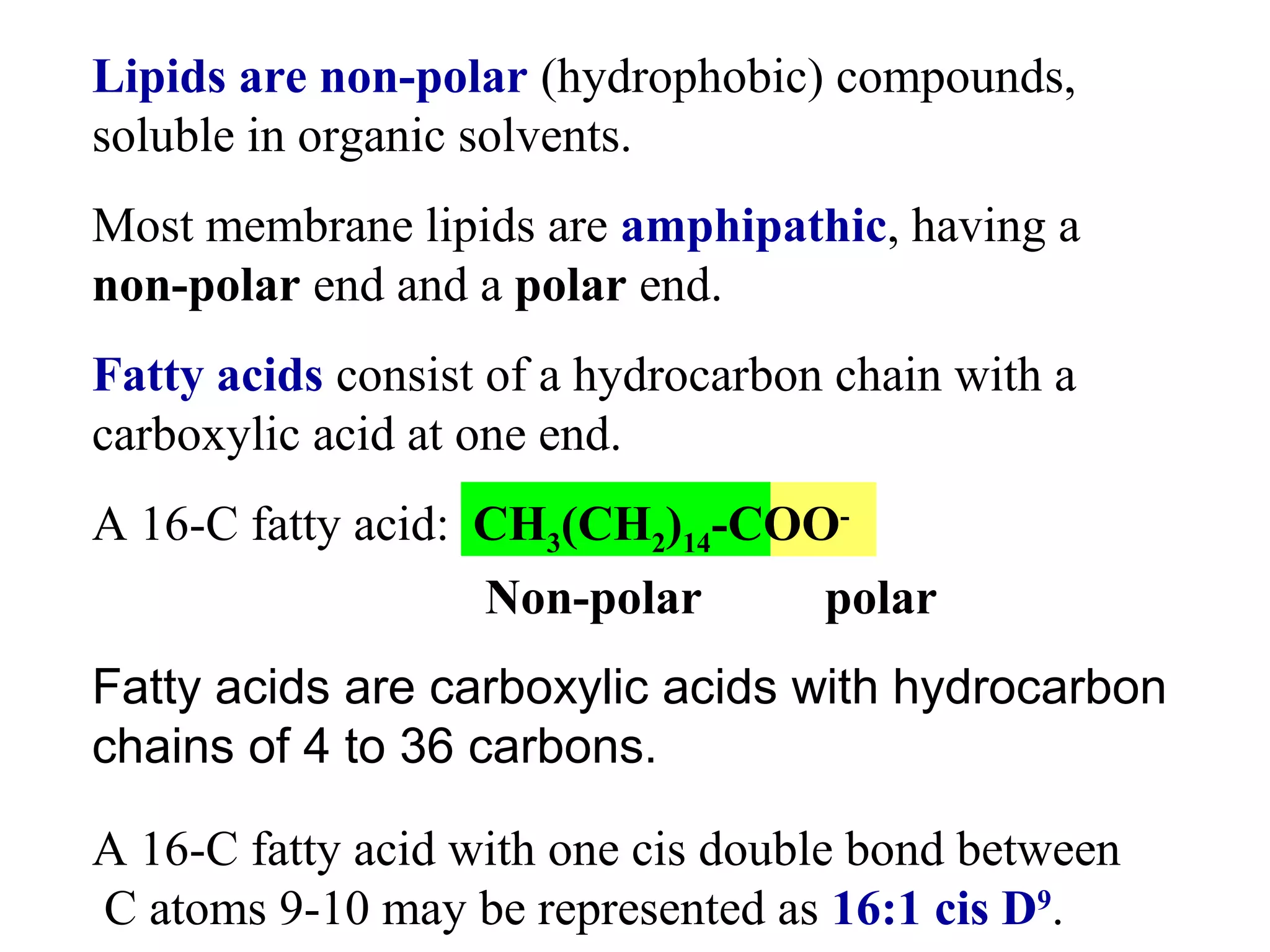 Lipids | PPT