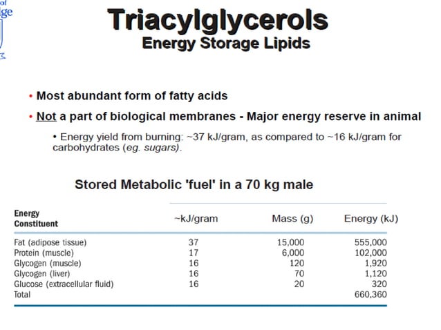 Lipids | PPT | Chemistry | Science