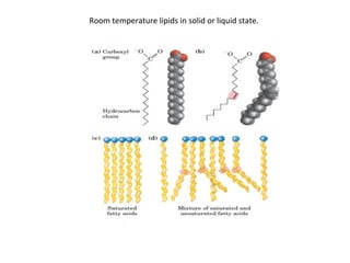 Lipids | PPT