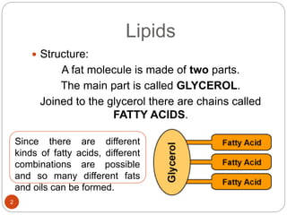 Lipids | PPTX | Chemistry | Science