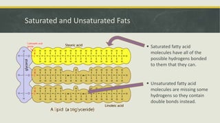 Lipids | PPT