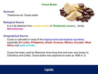 Lipids | PDF