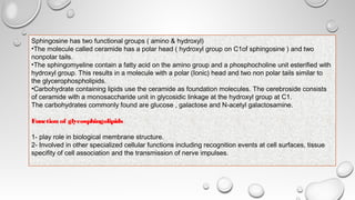 Lipids | PPS