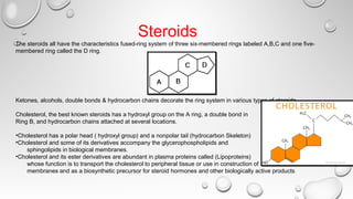 Lipids | PPS