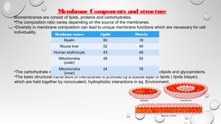 Lipids | PPS
