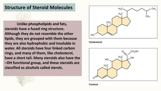 Lipids | PPTX