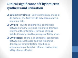 Lipids | PDF