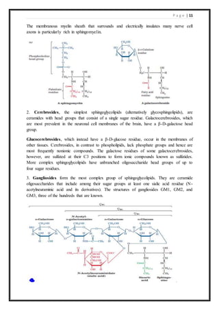 Lipids | DOCX | Chemistry | Science