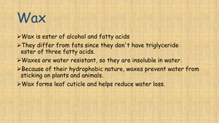 Lipids | PPTX
