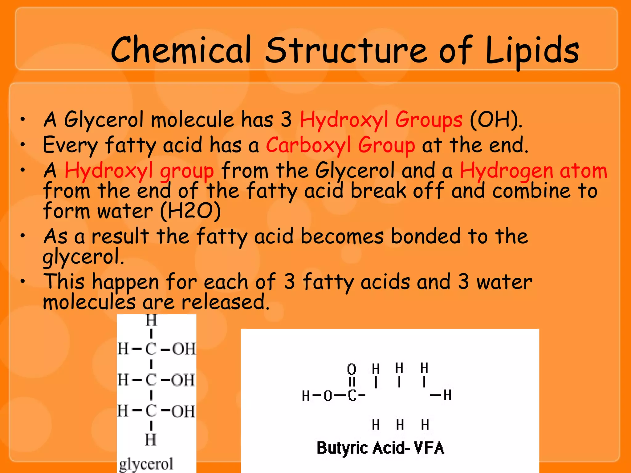 Lipids | PPT