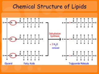 Lipids | PPT