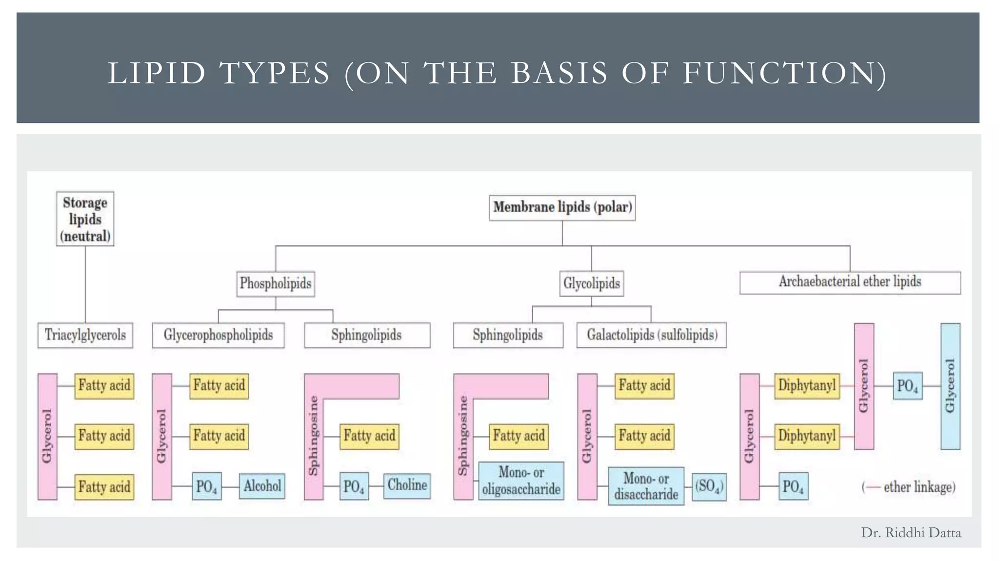 Basics of Lipid Biochemistry | PPTX
