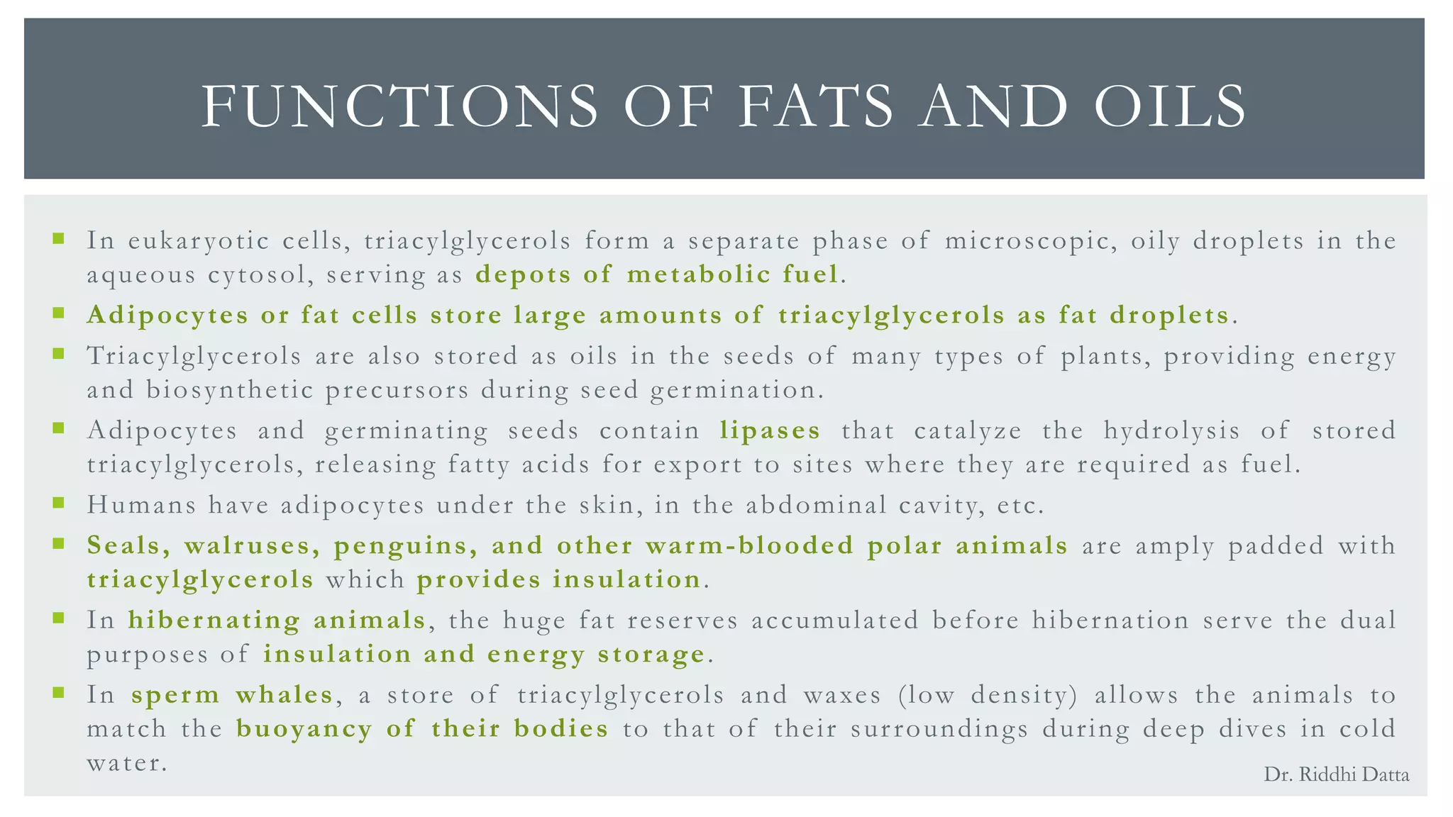 Basics of Lipid Biochemistry | PPTX