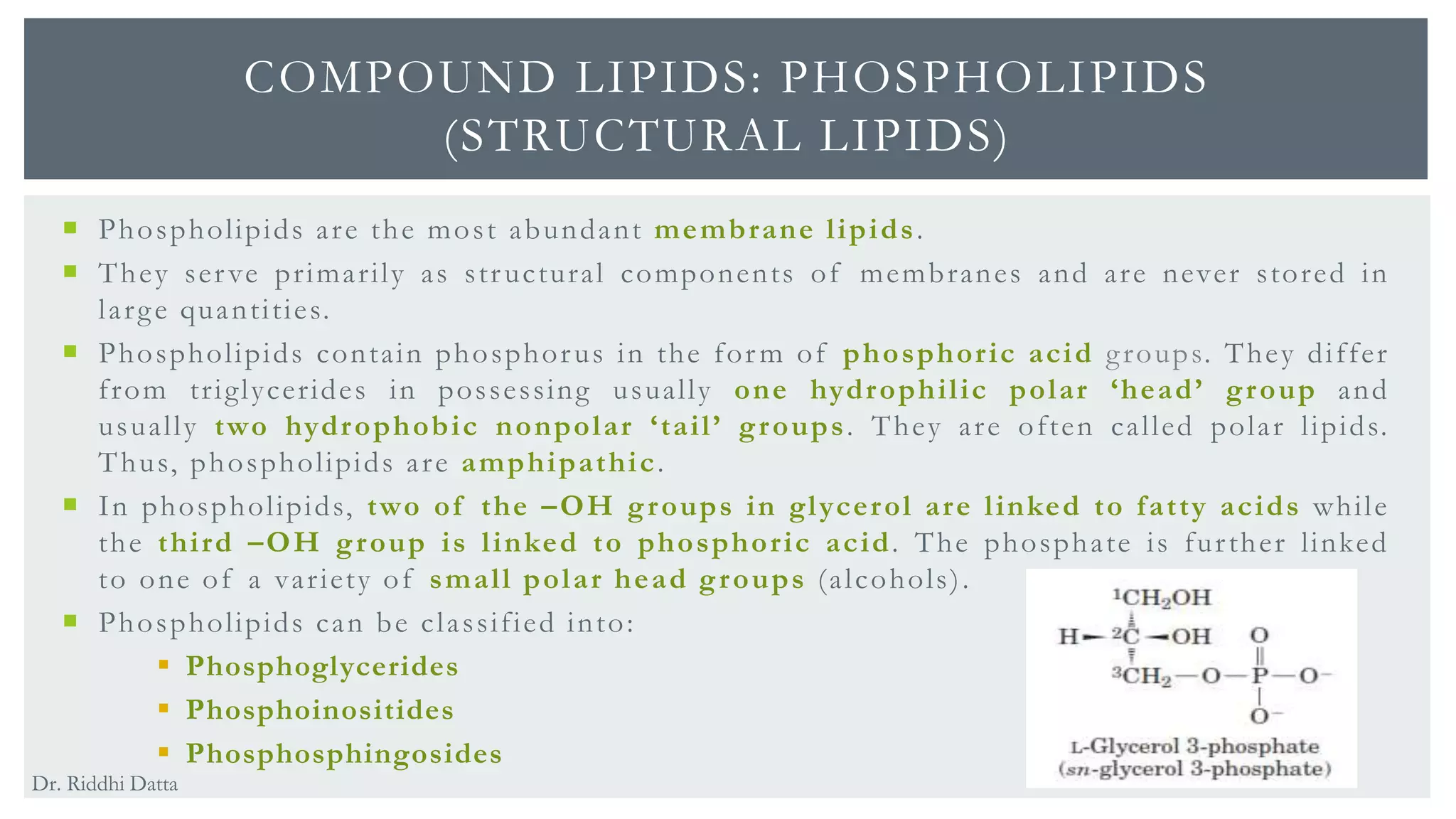Basics of Lipid Biochemistry | PPTX