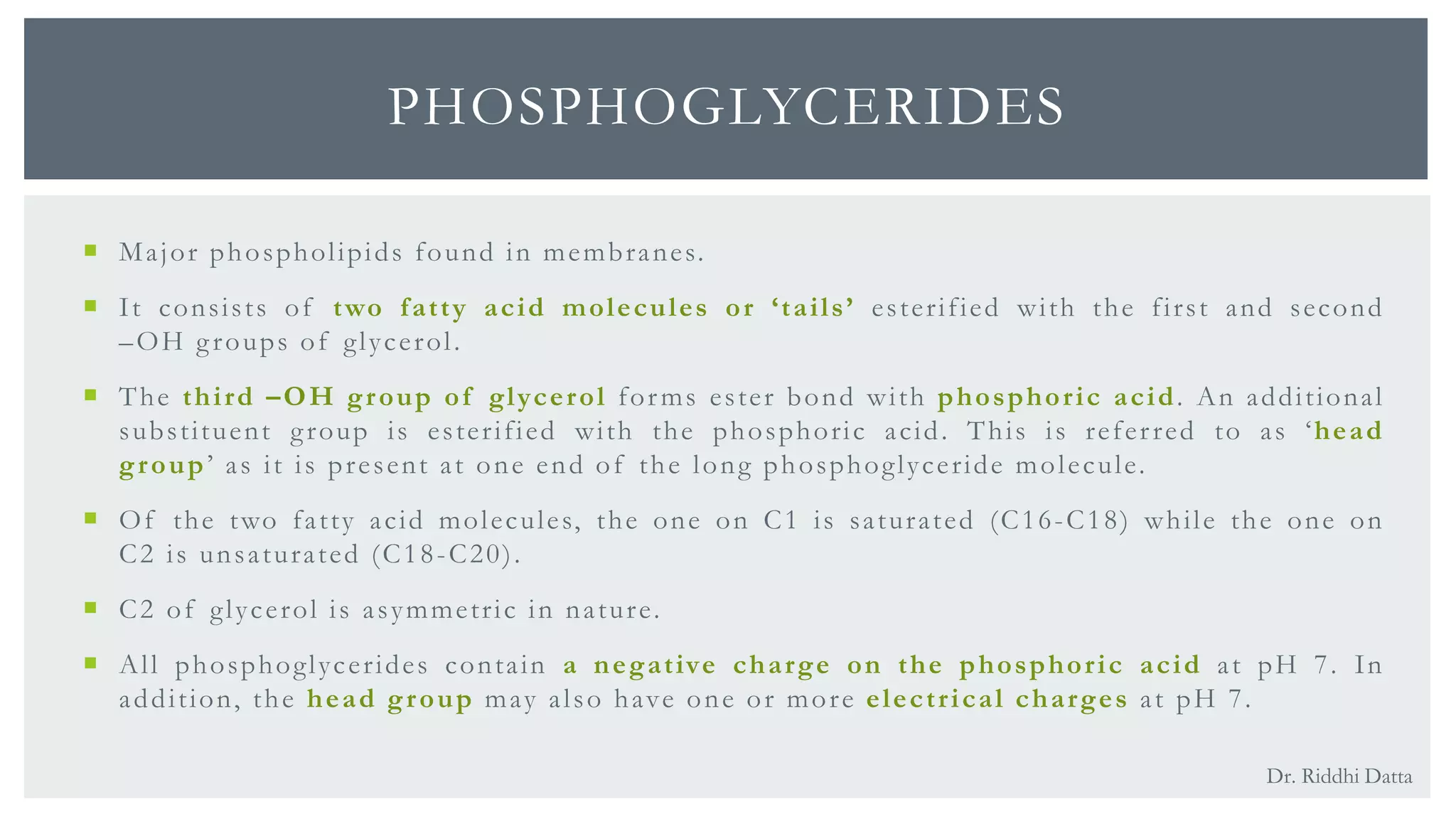 Basics of Lipid Biochemistry | PPTX