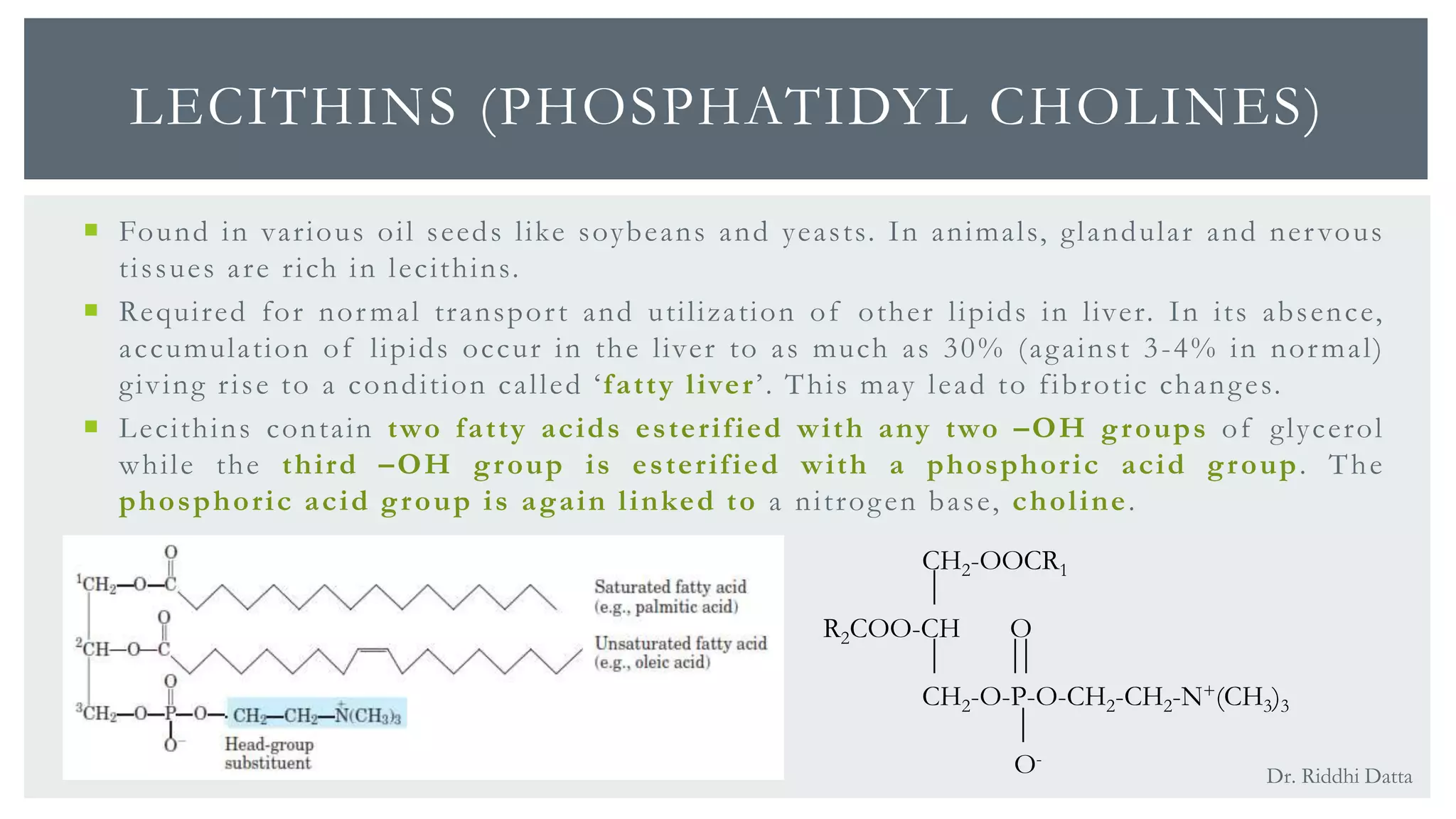 Basics of Lipid Biochemistry | PPTX