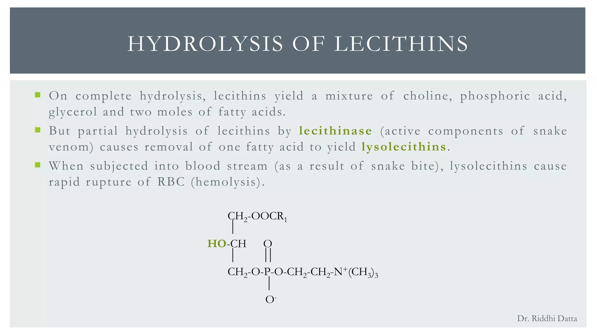 Basics of Lipid Biochemistry | PPTX