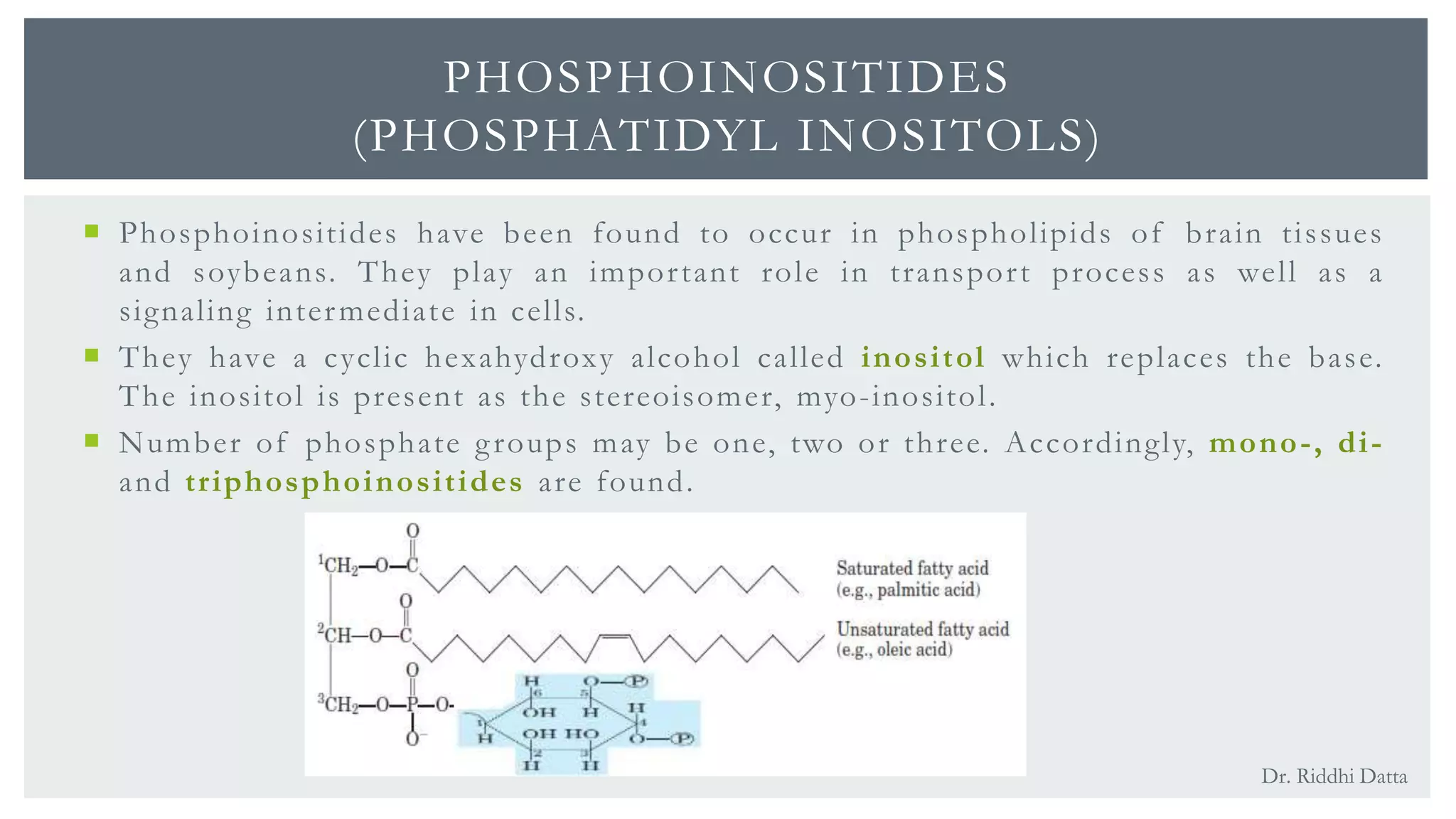 Basics of Lipid Biochemistry | PPTX
