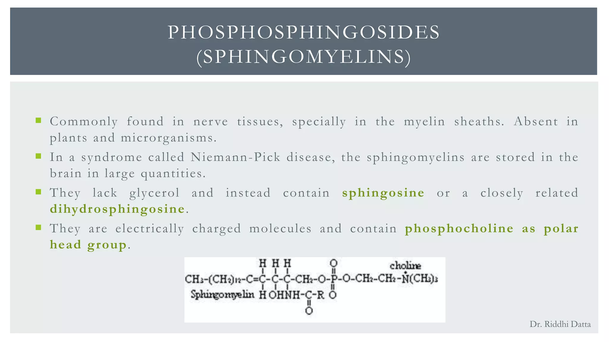 Basics of Lipid Biochemistry | PPTX