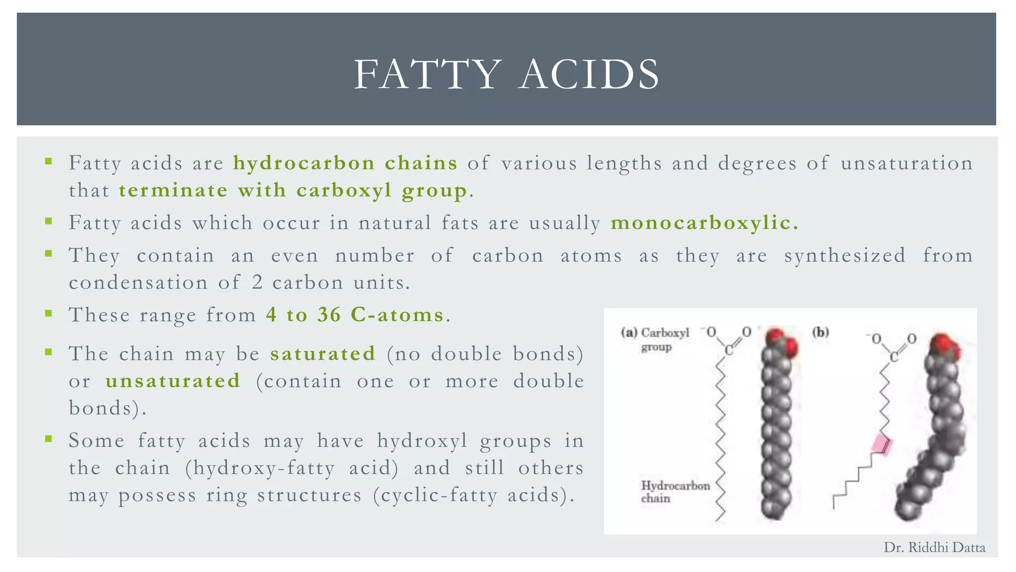 Basics of Lipid Biochemistry | PPTX