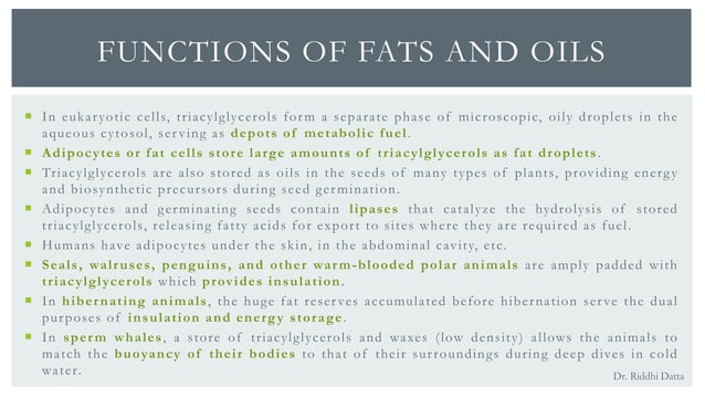 Basics of Lipid Biochemistry | PPTX