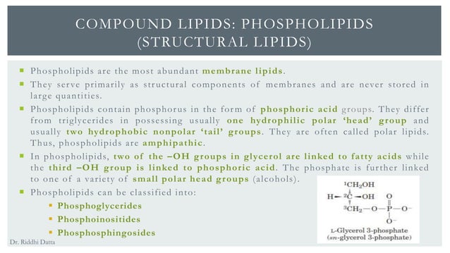 Basics of Lipid Biochemistry | PPTX