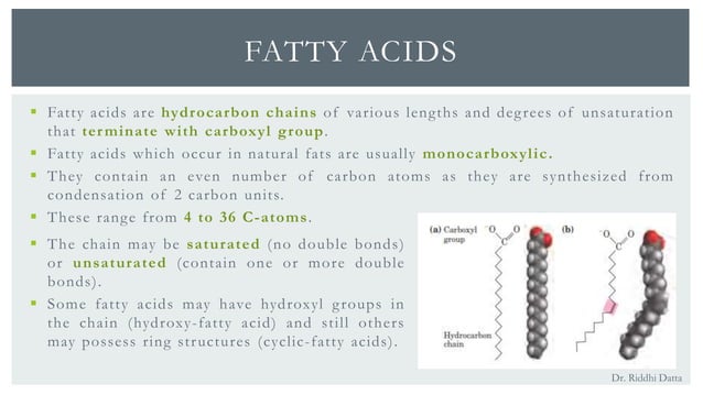 Basics of Lipid Biochemistry | PPTX
