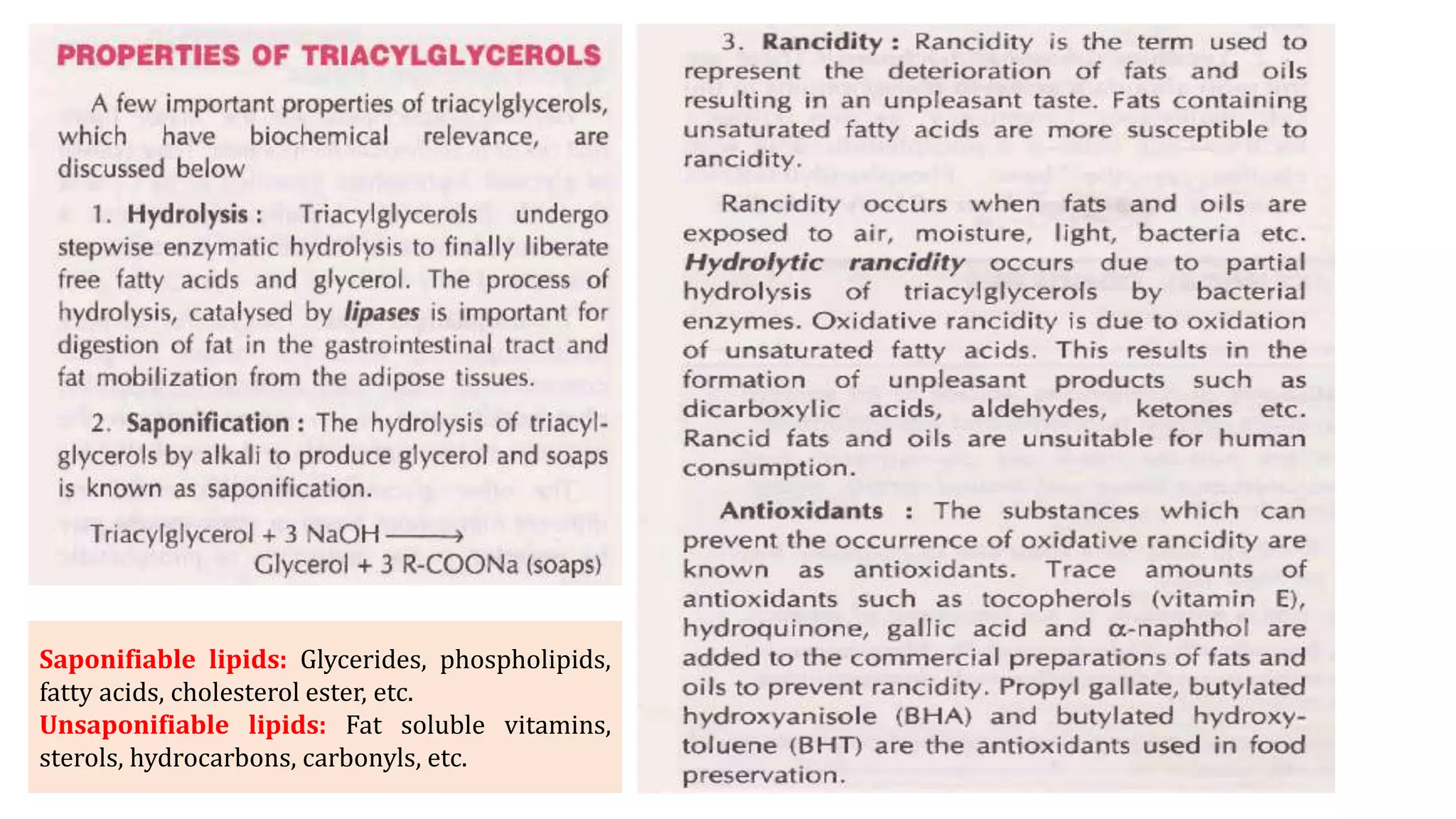 Lipids | PDF