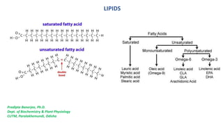 Lipids | PPT