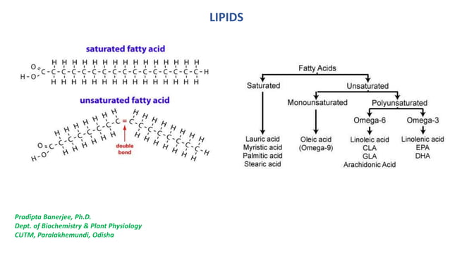 Lipids | PPT