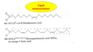 Lipids | PDF