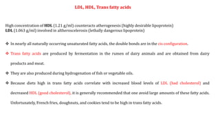 Lipids | PPT