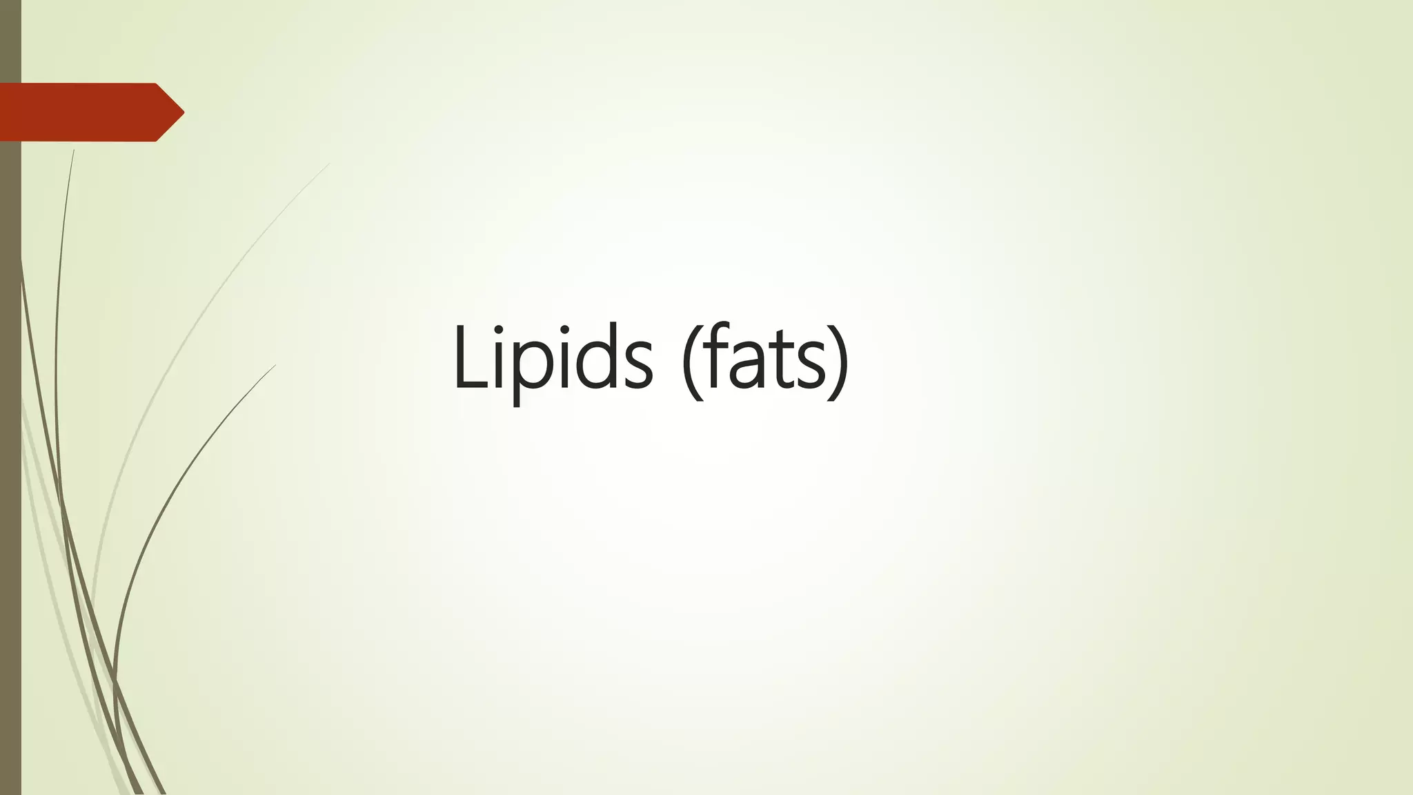 Lipids | PPT