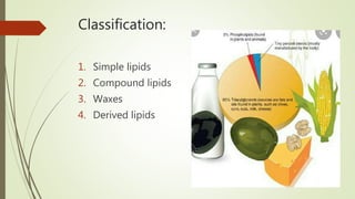 Lipids | PPT