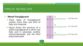 Lipids | PPTX