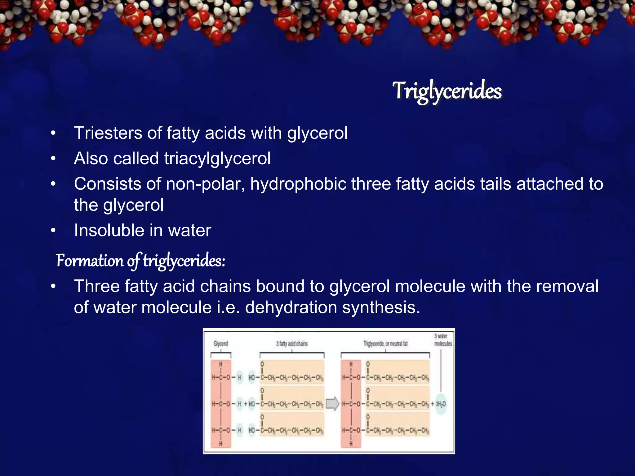 Lipids | PPTX