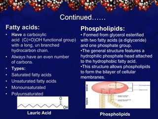 Lipids | PPTX
