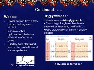 Lipids | PPTX