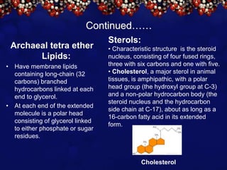 Lipids | PPTX