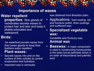 Lipids | PPTX