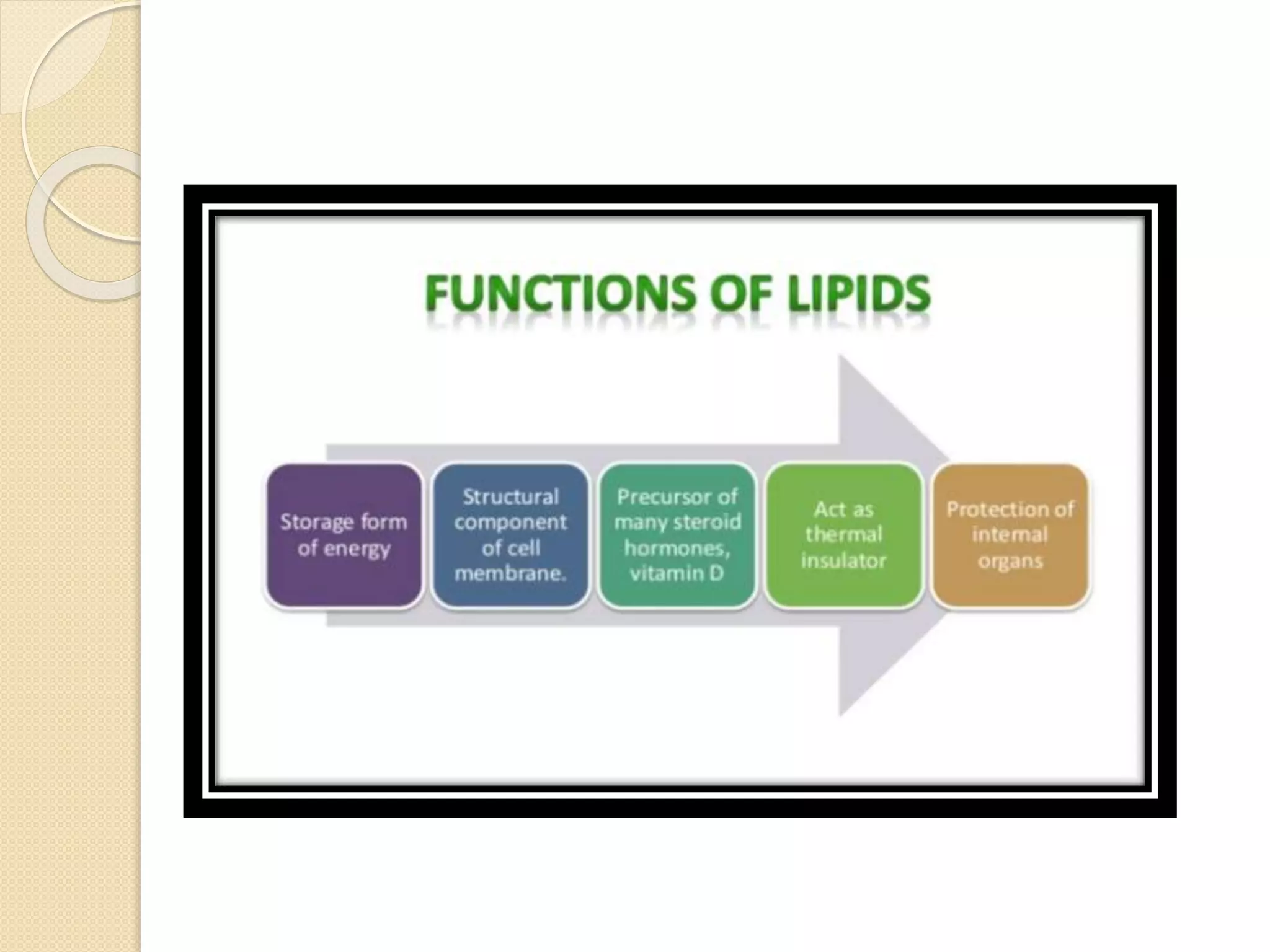 Lipids | PPT