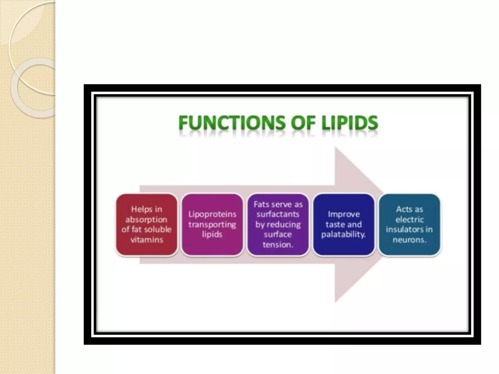 Lipids | PPTX
